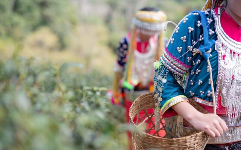 Chiang Mai: Half day Doi Suthep and Meo Village - FAQs