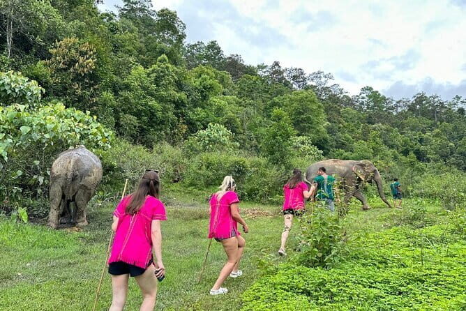 Chiang Mai Half Day Elephant Sanctuary Observation and Waterfall - An Honest Look at the Tour Experience