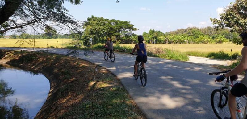 Chiang Mai: Half-Day Private Bicycle Tour with Lunch - Final Thoughts
