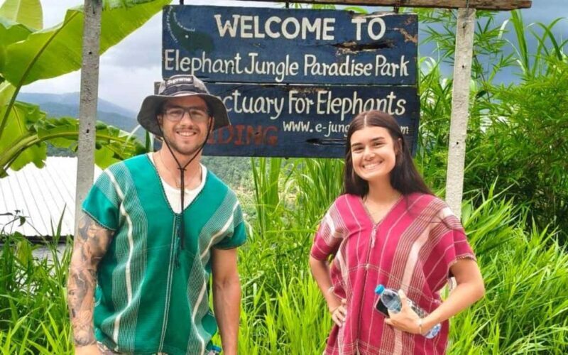 Chiang Mai: Half-Day Rice Farming Experience - Chiang Mai: Half-Day Rice Farming Experience — A Genuine Taste of Rural Thailand