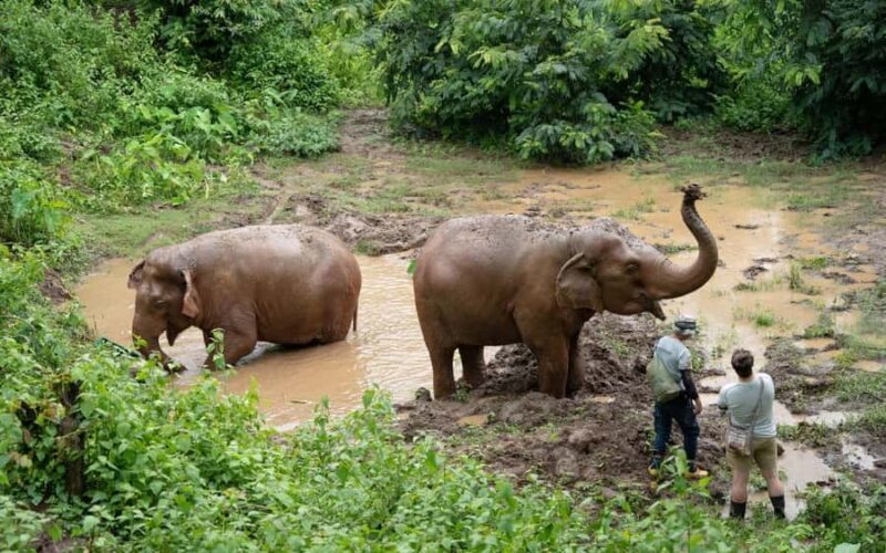 Chiang Mai Half-Day: River Tubing & Waterfall Slide - The Sum Up