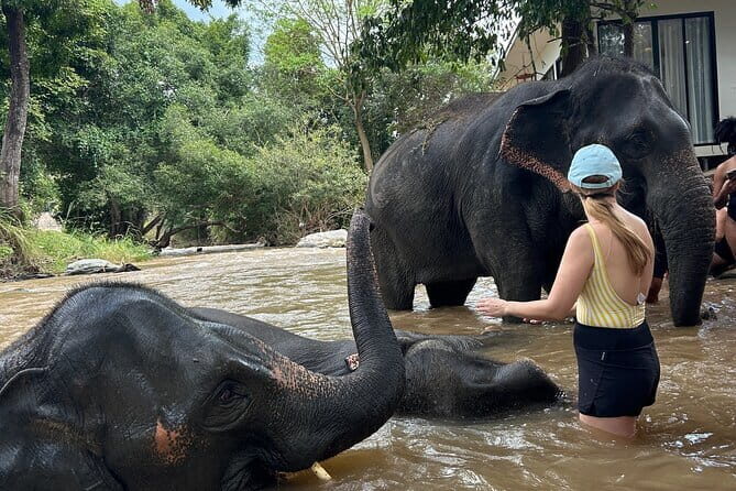 Chiang Mai Half Day Tour: Doi Inthanon Elephant Sanctuary - Introducing the Chiang Mai Half Day Tour: Doi Inthanon Elephant Sanctuary
