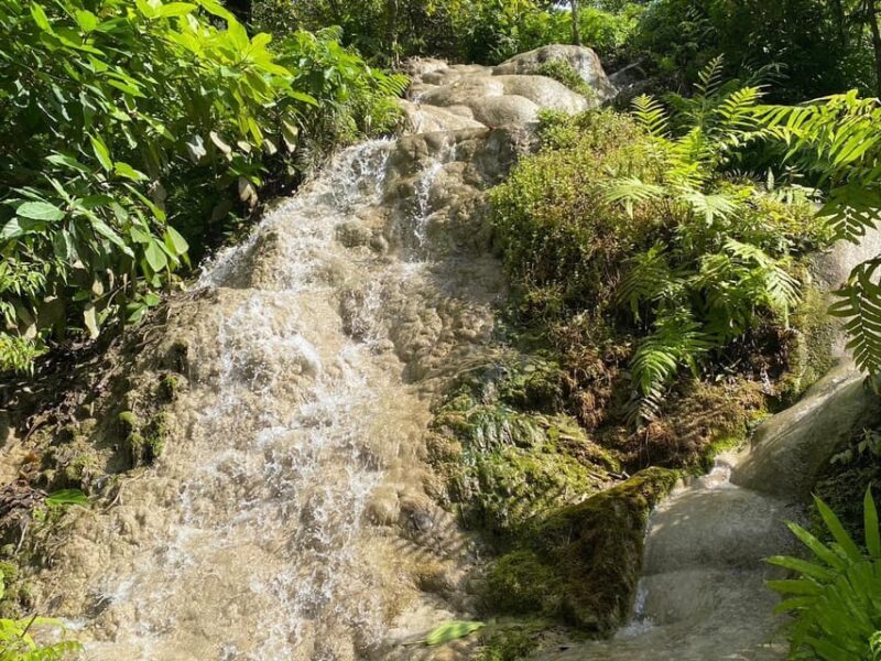 Chiang Mai Half Day Tour: Sticky Waterfall & Hotel Transfer - Key Points