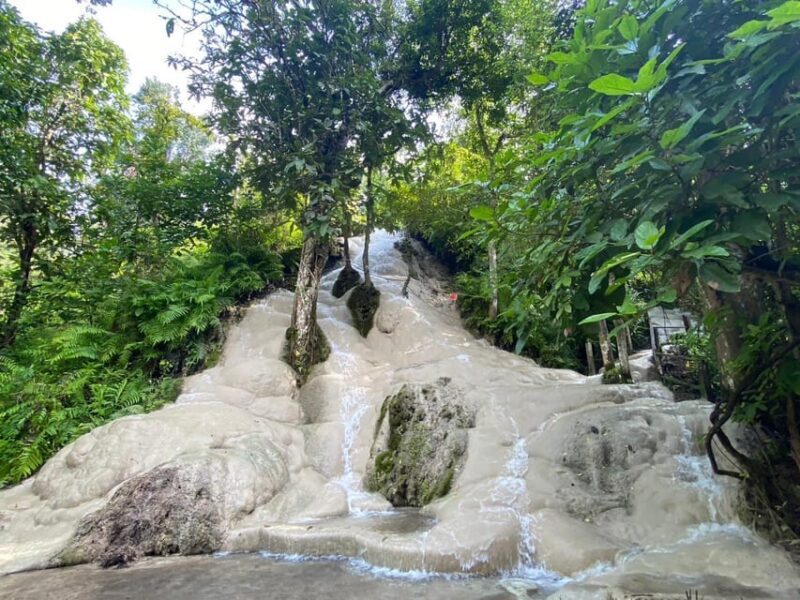 Chiang Mai Half Day Tour: Sticky Waterfall & Hotel Transfer - Reviewing the Experience