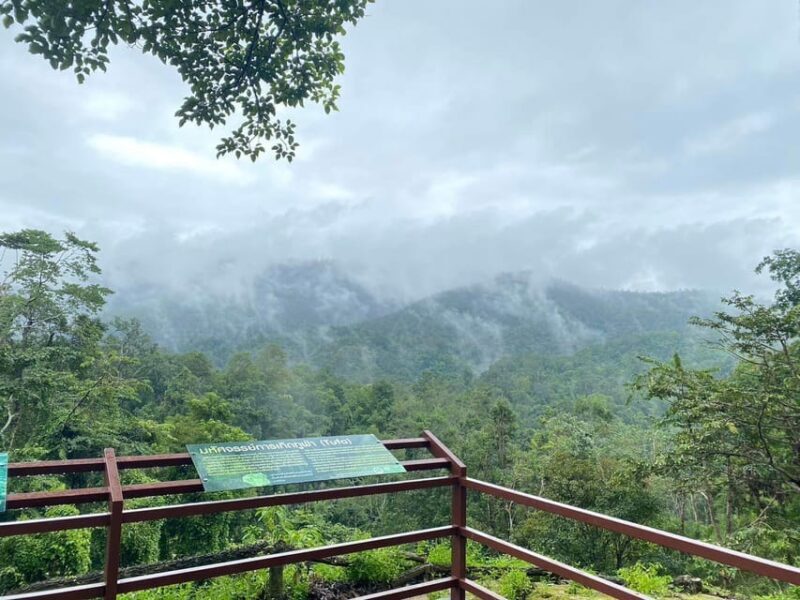 Chiang Mai Half Day Tour: Sticky Waterfall & Hotel Transfer - The Practical Details