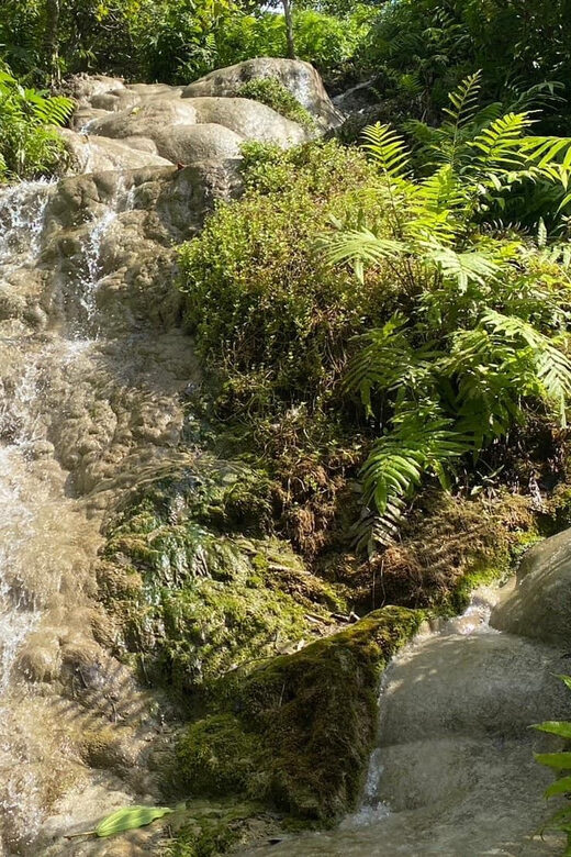 Chiang Mai Half Day Tour: Sticky Waterfall & Hotel Transfer - FAQ
