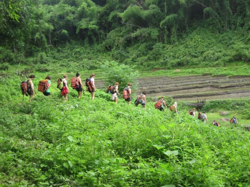 Chiang Mai: Hill Tribes Trek (Palong) with Lunch & Transfers - Key Points