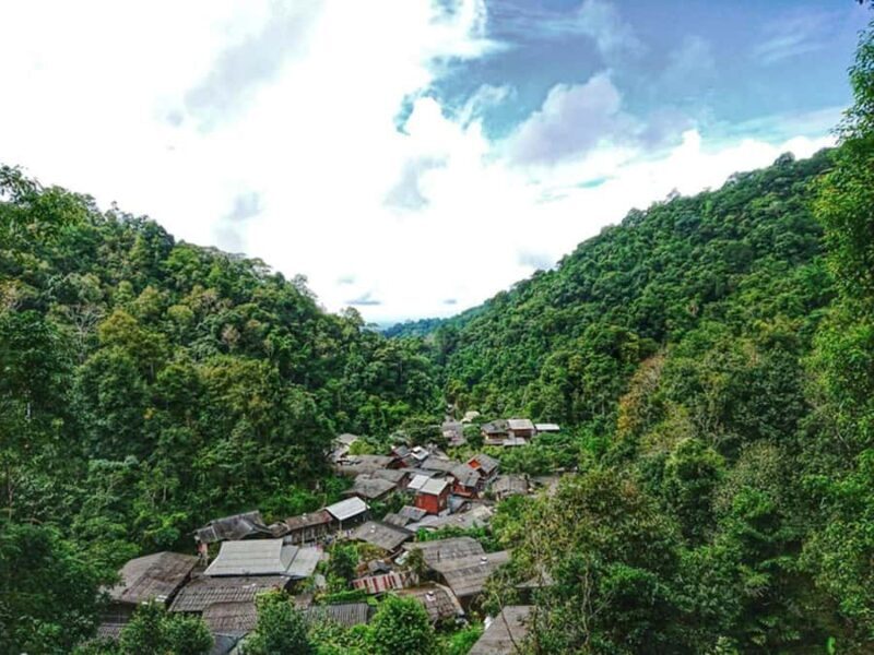 Chiang Mai: Hill Tribes Trek (Palong) with Lunch & Transfers - Authentic Experiences and Real Feedback