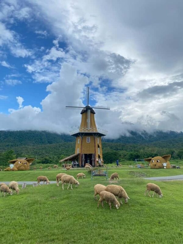 Chiang Mai: Huai Tueng Thao Half Day Tour with Lunch - Key Points