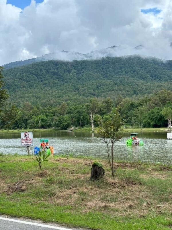 Chiang Mai: Huai Tueng Thao Half Day Tour with Lunch - A Detailed Look at the Huai Tueng Thao Half Day Tour