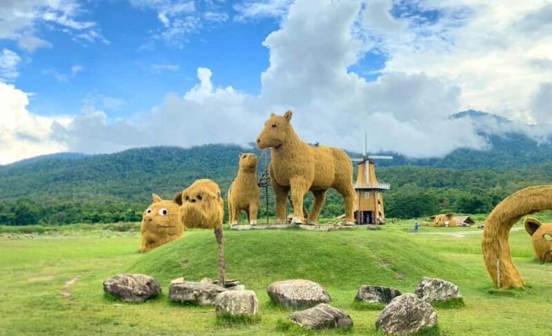 Chiang Mai: Huai Tueng Thao Lake Tour with Lunch & ATV - A Deep Dive into the Huai Tueng Thao Lake Tour