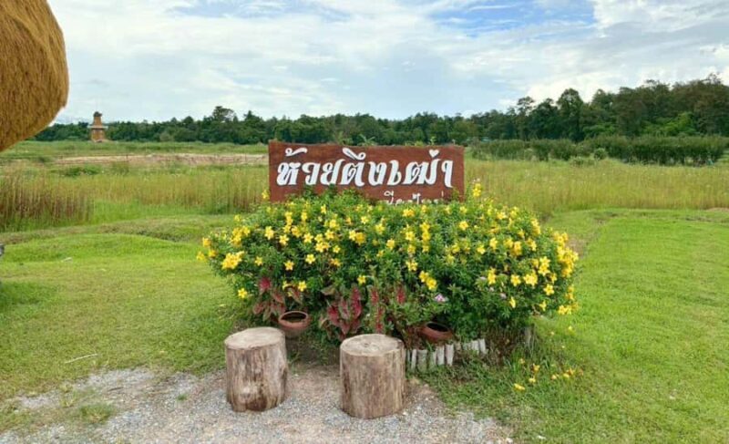 Chiang Mai: Huai Tueng Thao Lake Tour with Lunch & ATV - The Sum Up