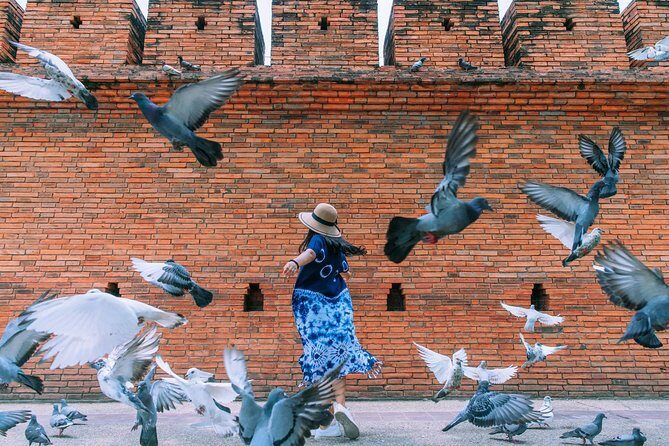 Chiang Mai Instagram Tour: Most Famous Spots (Private and All-Inclusive) - The Experience at a Glance