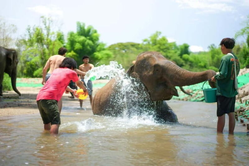 Chiang Mai: Jungle Jumbo Elephant Sanctuary with Waterfall - Itinerary Breakdown and Practical Tips