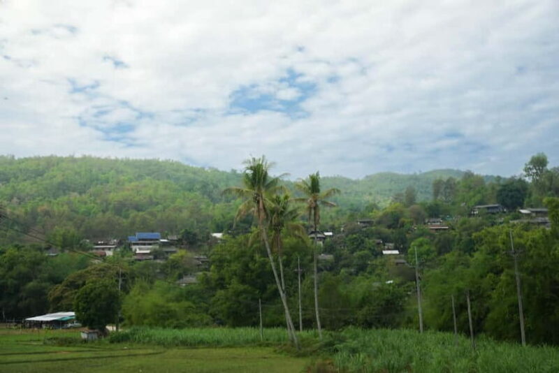 Chiang Mai: Jungle Jumbo Elephant Sanctuary with Waterfall - Who Will Love This Tour?