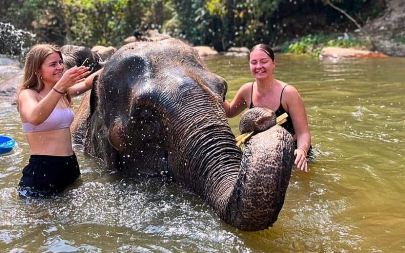 Chiang Mai: Jungle Trek, Elephants care & Bamboo Rafting - Transportation & Timing: Why They Matter