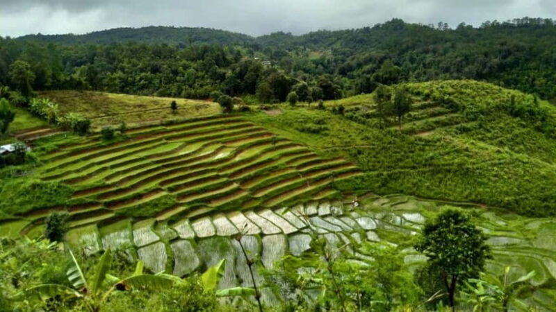 Chiang Mai: Jungle Trek, Elephants care & Bamboo Rafting - What to Bring for a Smooth Day