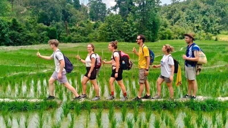 Chiang Mai: Jungle Trek, Elephants care & Bamboo Rafting - Who Will Love This Tour?