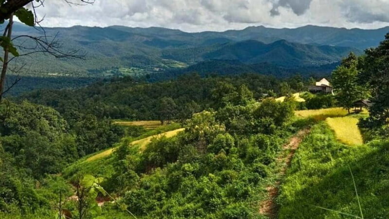 Chiang Mai: Jungle Trek, Elephants care & Bamboo Rafting - Final Thoughts