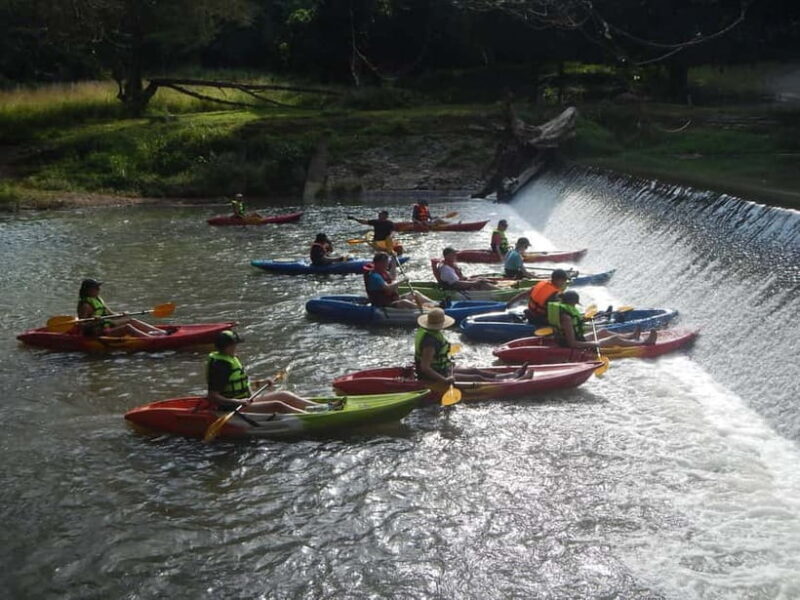 Chiang Mai: Kayak the Jungle River of Chiang Dao Valley! - Who Should Consider This Tour?