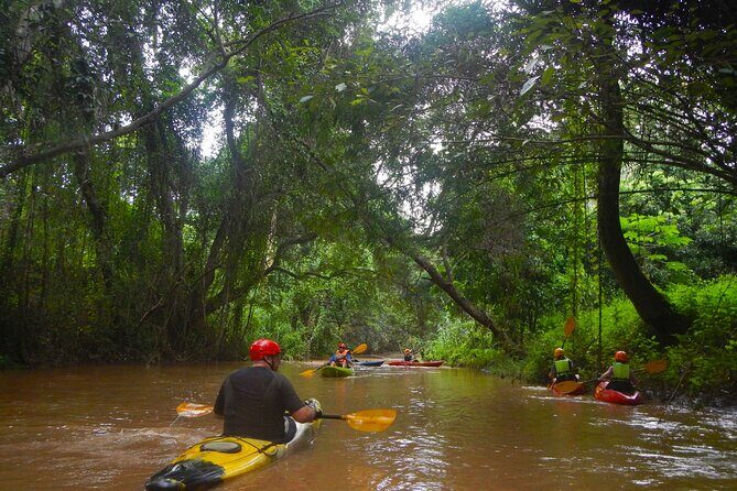 Chiang Mai : Kayak the Jungle Rivers of Chiang Dao Valley! - A Detailed Look at the Itinerary