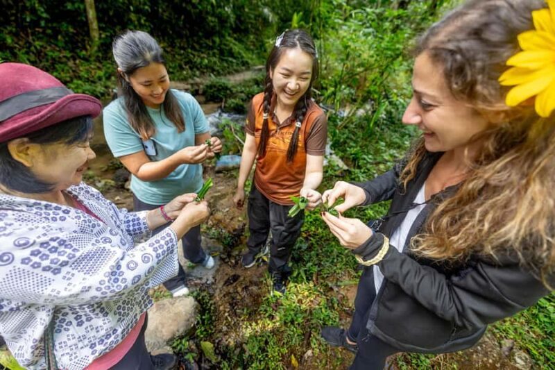 Chiang Mai: Mae Kampong Jungle Hike and Cooking Class - Who Will Love This Tour?