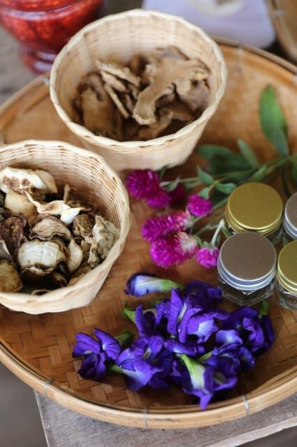 Chiang Mai : Making Herbal Ball And Inhaler - The Itinerary in Detail