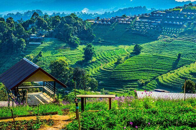 Chiang Mai Mon Jam Highlands and Pongyang Full-Day Private Tour - Who Will Love This Tour?