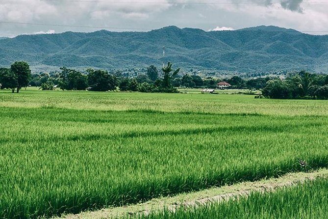 Chiang Mai Muay Thai Boxing Experience - The Experience’s Practical Aspects