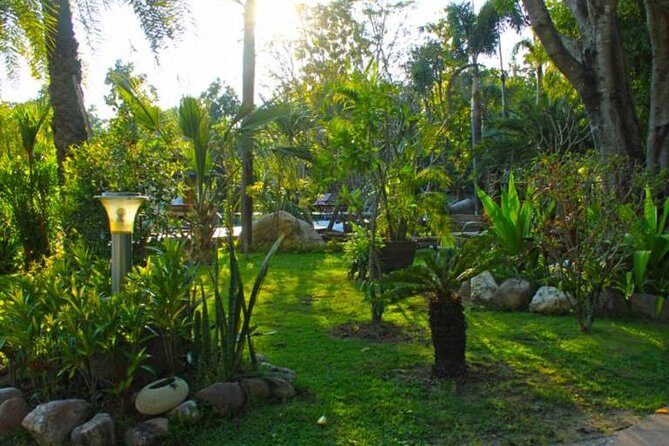 Chiang Mai Muay Thai Boxing Experience - What Travelers Say