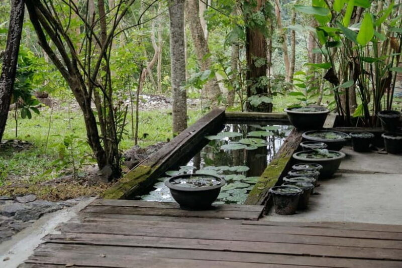 Chiang Mai: Nature and Nurture 1-Day All About Love Retreat - Chiang Mai: Nature and Nurture 1-Day All About Love Retreat — A Practical, Heartfelt Review