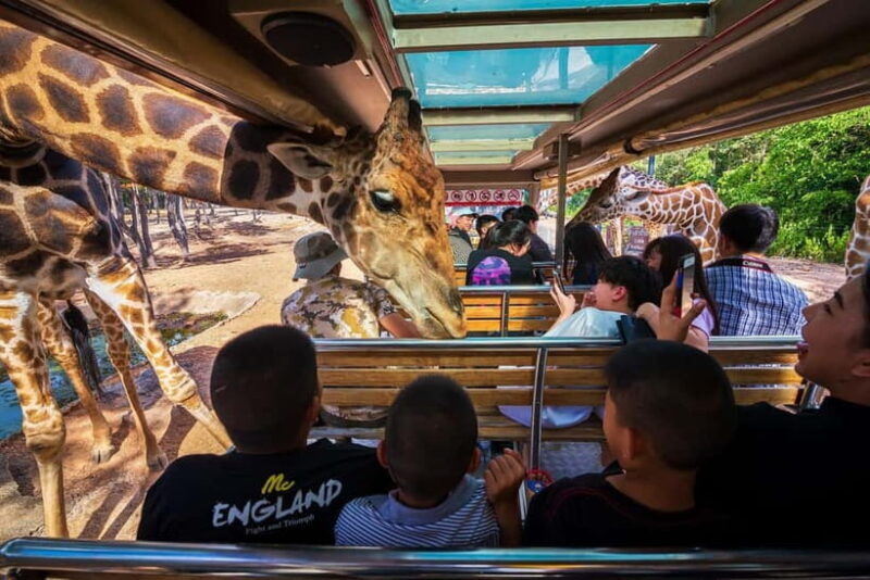 Chiang Mai Night Safari: Entry Ticket with Tram Ride - Overview of Chiang Mai Night Safari