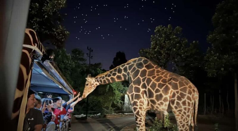 Chiang Mai Night Safari: Flexible Pickup, Ticket & Transfers - What to Expect from the Chiang Mai Night Safari Tour