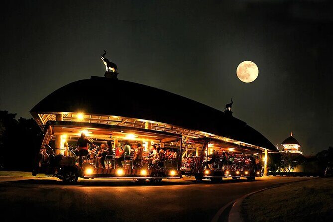 Chiang Mai Night Safari Park Ticket - What Makes the Night Safari Special?