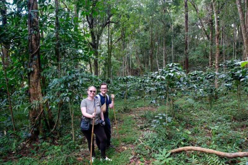 Chiang Mai: Off the Map Jungle Coffee Farm Trek Roast & Brew - Key Points