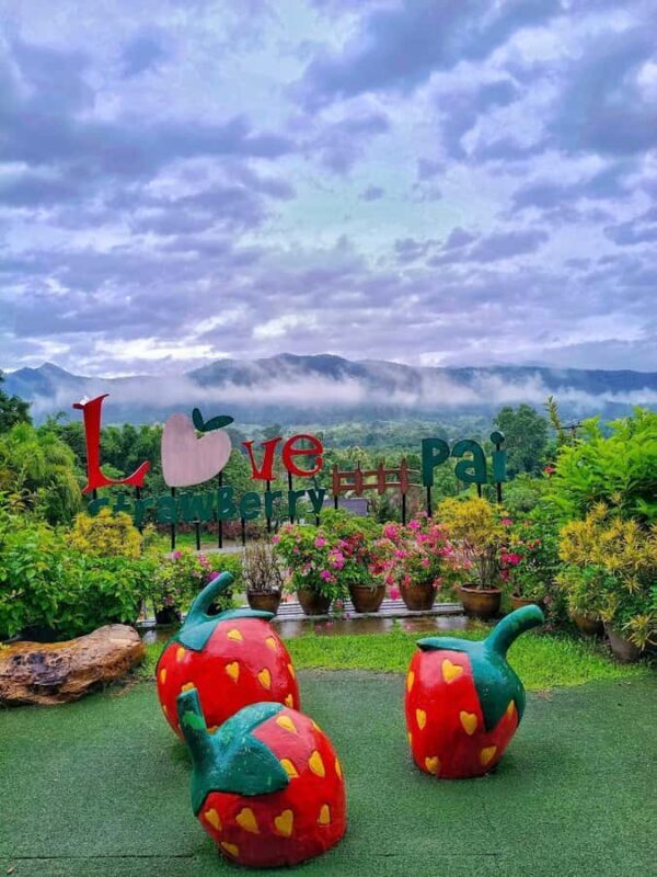 Chiang Mai: Pai Famous Attractions Day Trip with Guide - Transport, Timing, and Value