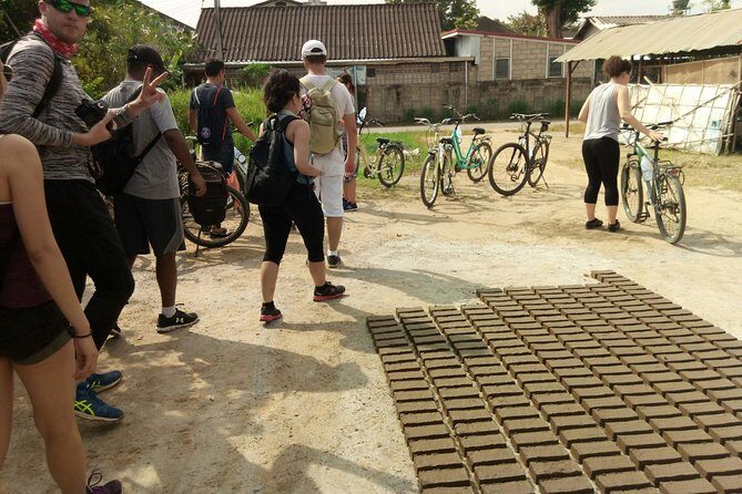 Chiang Mai Paradise Full-Day Cycling Adventure Tour - Insights from Reviews