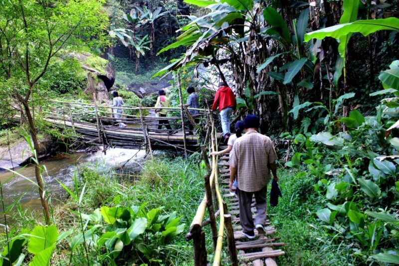 Chiang Mai: Pha Dok Siew Nature Trail & Doi Inthanon Trip - Final Thoughts
