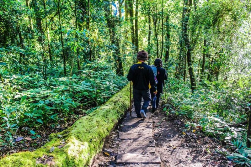 Chiang Mai: Pha Dok Siew Nature Trail & Doi Inthanon Trip - FAQ