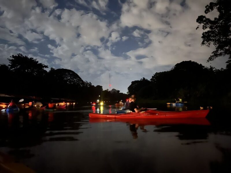 Chiang Mai: Ping River Night Kayaking into City Center - A Detailed Look at the Chiang Mai Night Kayaking Experience