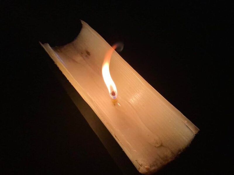 Chiang Mai: Ping River Night Kayaking into City Center - Who Will Enjoy This Tour?