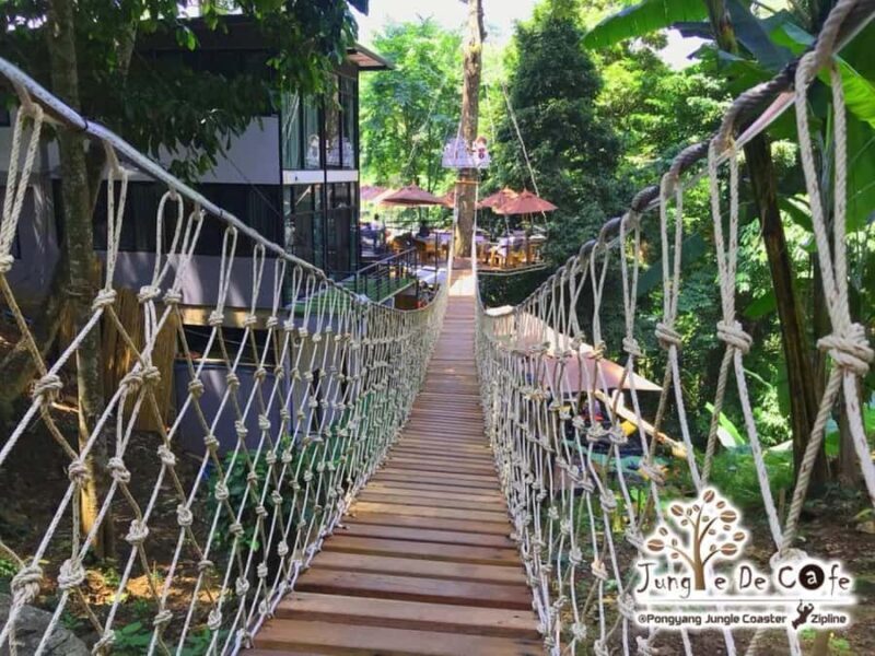 Chiang Mai: Pongyang Jungle Coaster and Zip Line Tour - Key Points