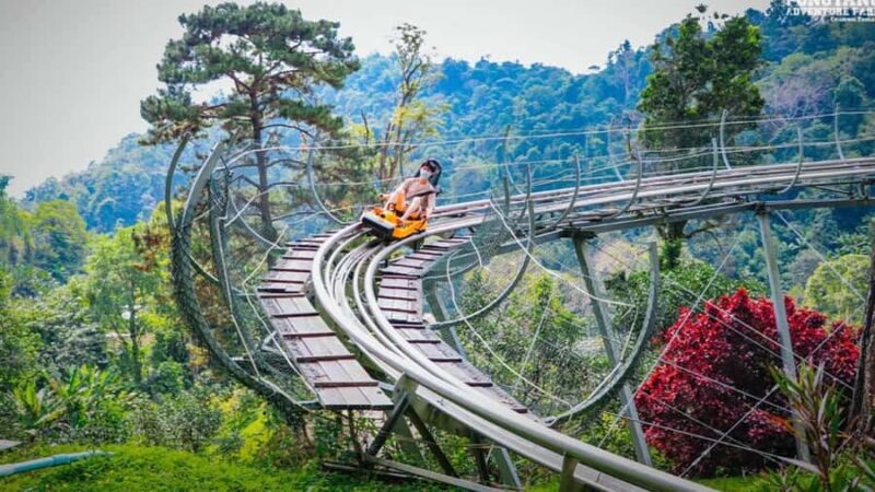 Chiang Mai: Pongyang Jungle Coaster and Zip Line Tour - The Bottom Line