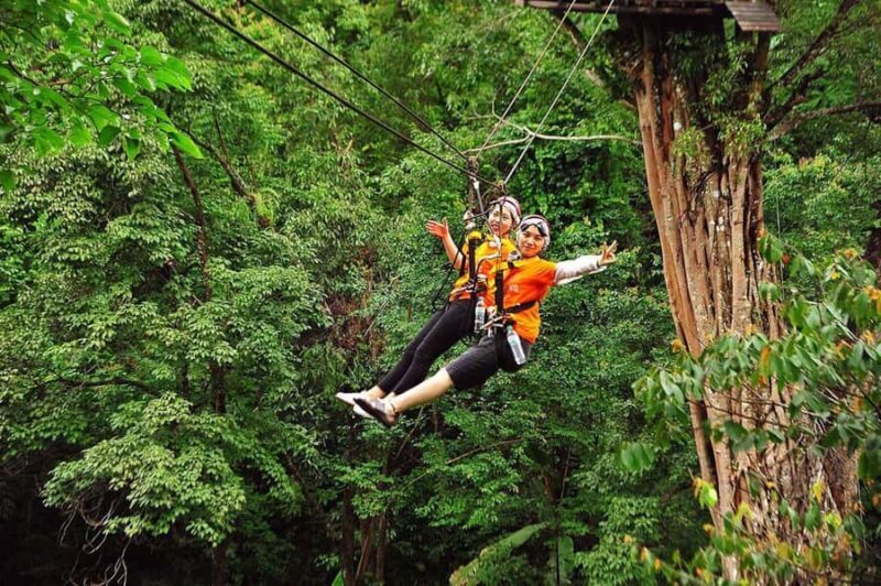 Chiang Mai: Pongyang Jungle Coaster & Zipline with Transfer - Exploring the Pongyang Jungle Coaster & Zipline Tour in Chiang Mai