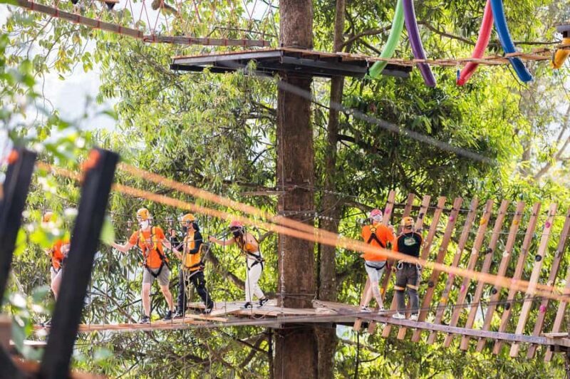 Chiang Mai: Pongyang Jungle Coaster & Zipline with Transfer - Who Should Consider This Tour?