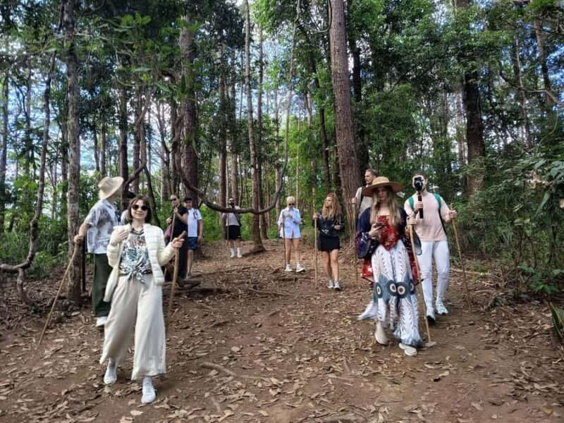 Chiang Mai: Private Sunrise Doi Inthanon Trek & Hidden Falls - FAQ