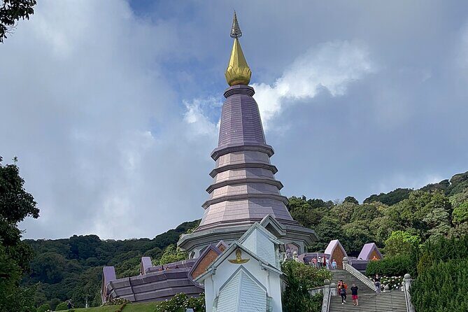 Chiang Mai Private Tour - Practicalities and Price Analysis