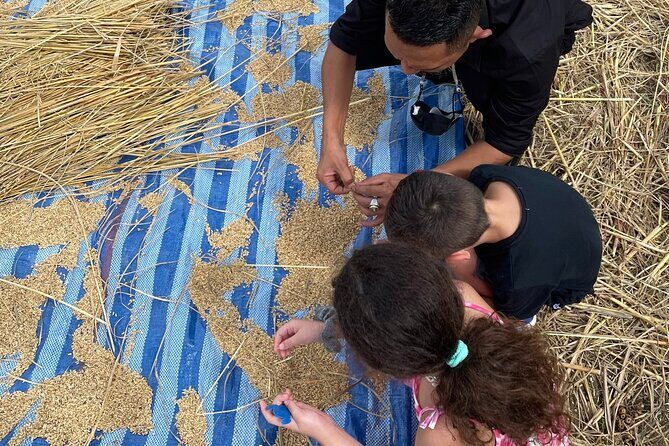 Chiang Mai Private Tour - Final Thoughts: Is This Tour Right for You?