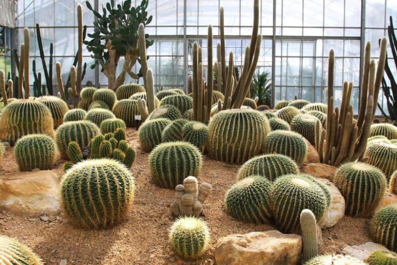 Chiang Mai: Queen Sirikit Botanic Garden Entry Ticket - Introduction: A Nature Escape in Chiang Mai