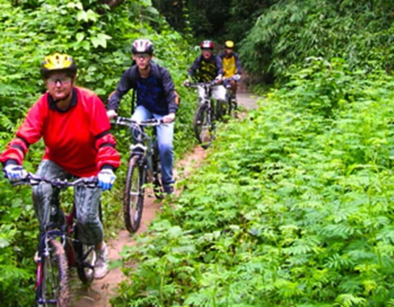 Chiang Mai: Rainforest Guided Mountain Biking Tour - Practical Tips for Your Ride